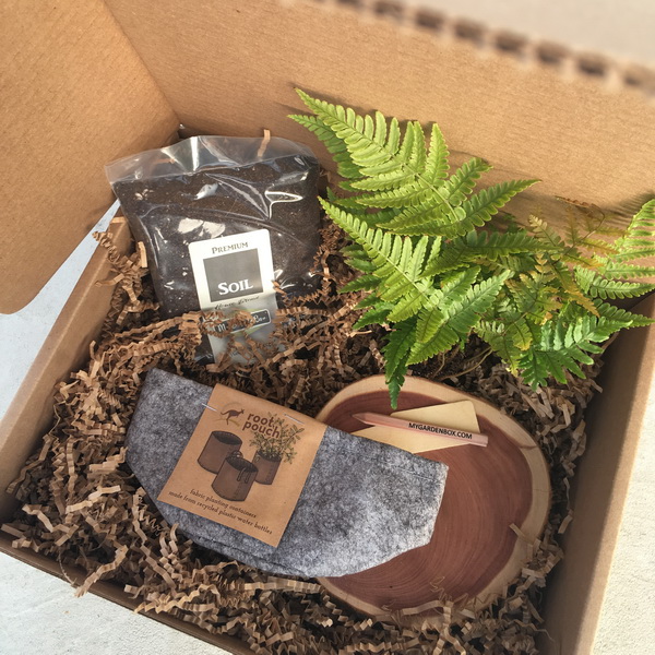 My Garden Box Review - Is it a great plant subscription box?